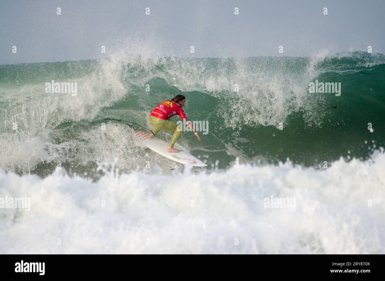 Matt Wilkinson (AUS Stock Photo - Alamy