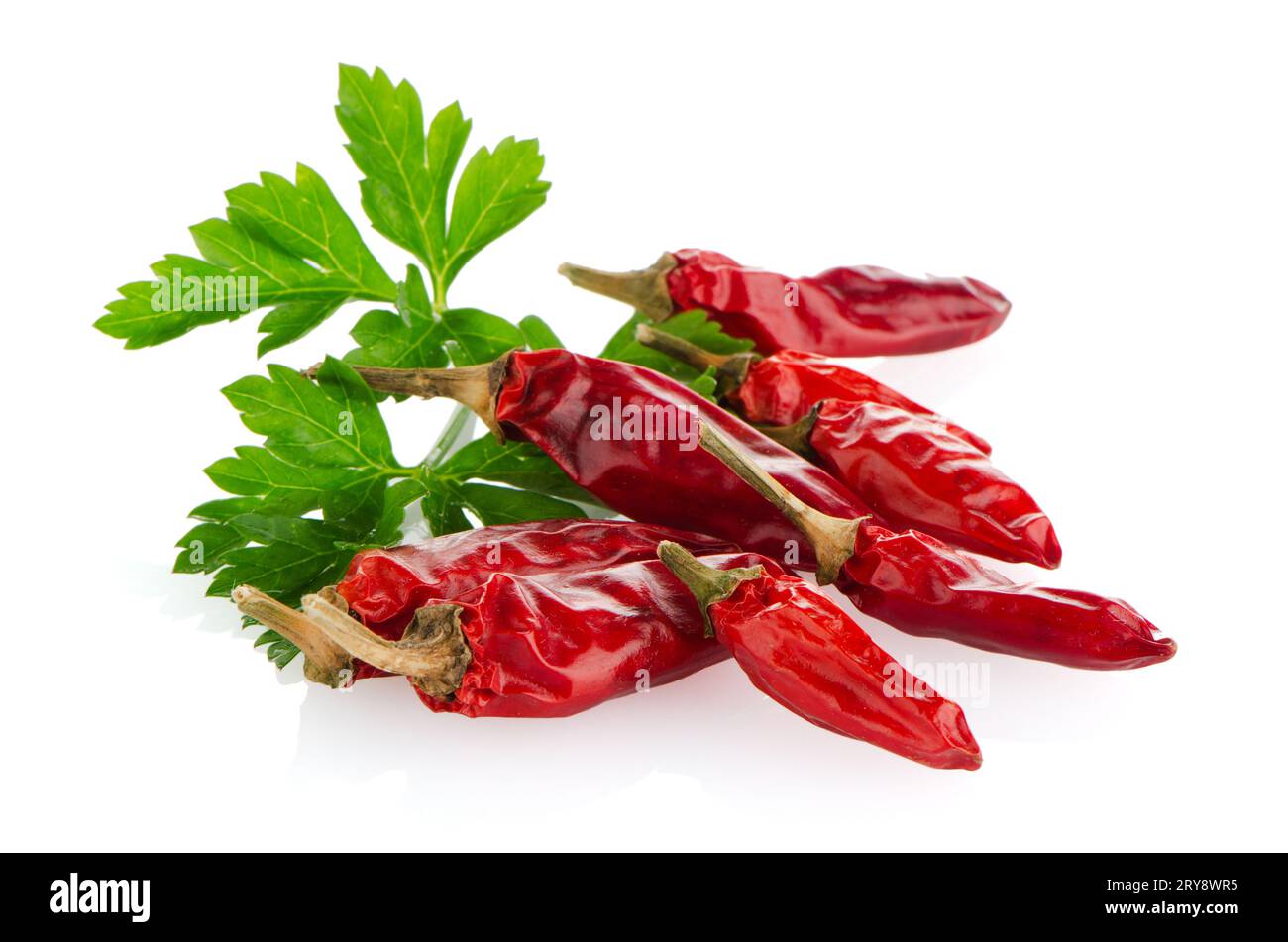 Chilli leaves hi-res stock photography and images - Alamy