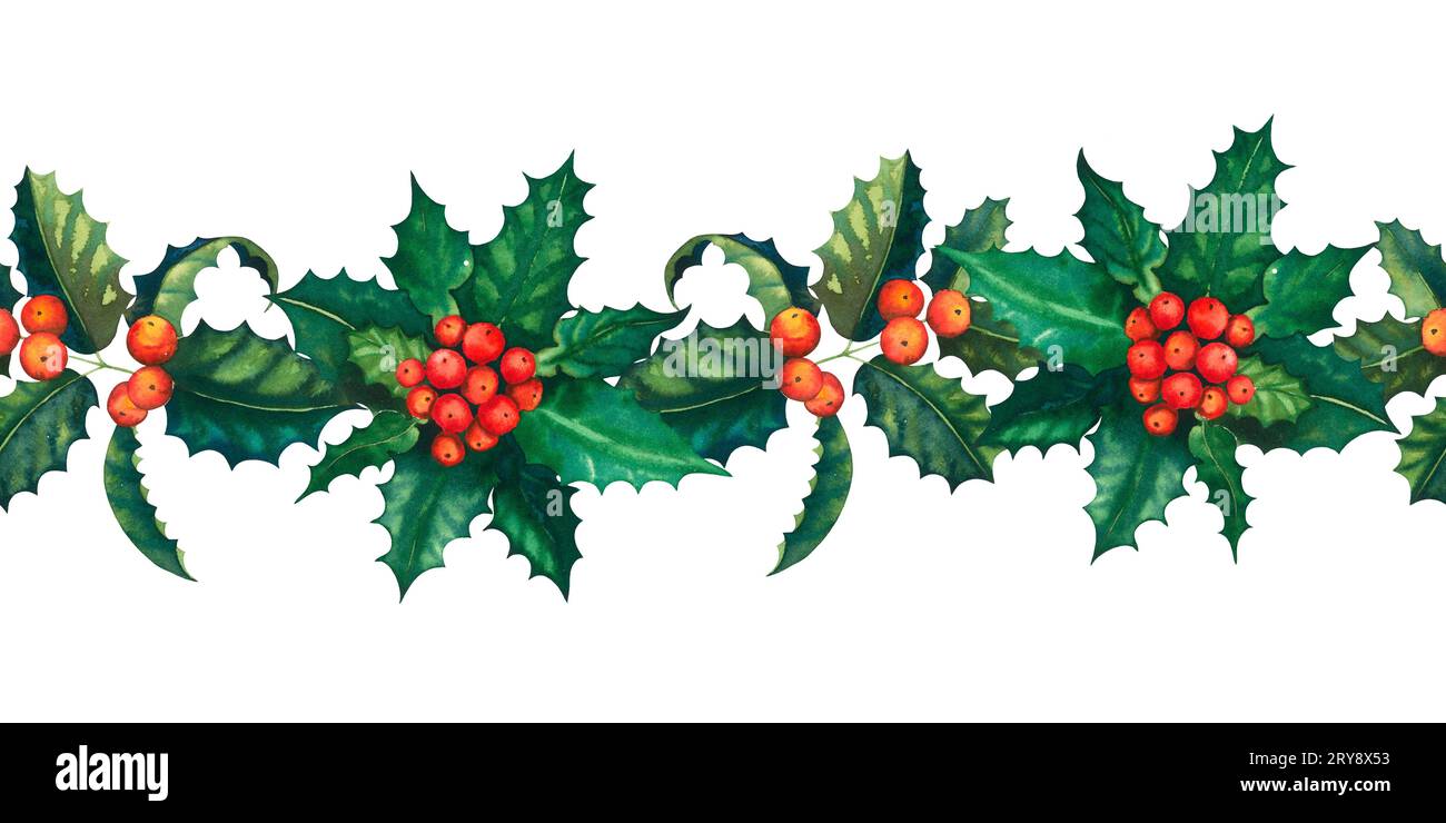 European Christmas berry holly branches leaves and fruit horizontal ...