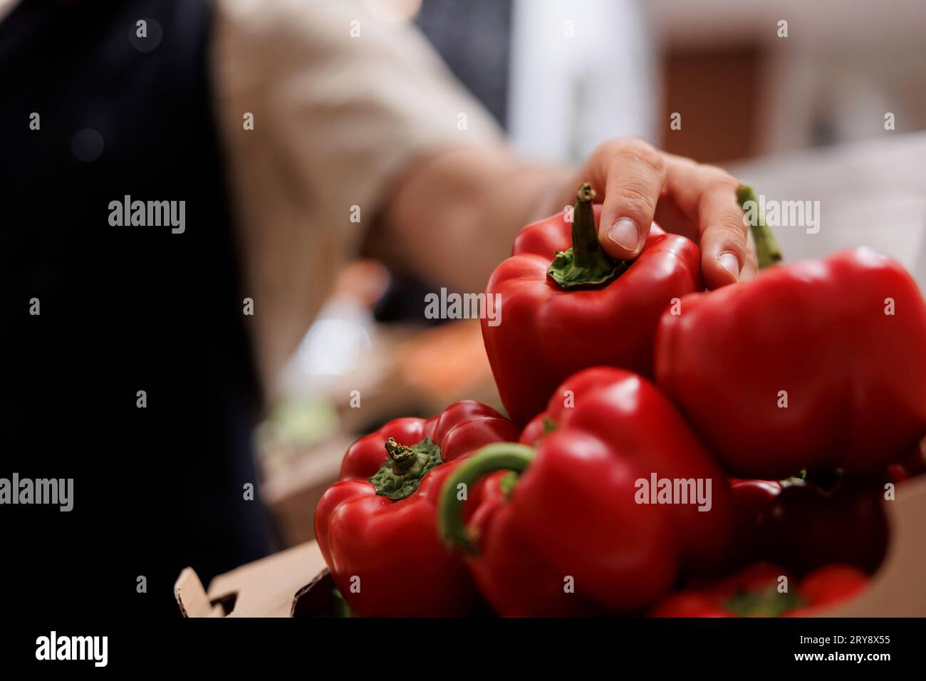 Trader filling up crates on zero waste shop shelves with homegrown red ...