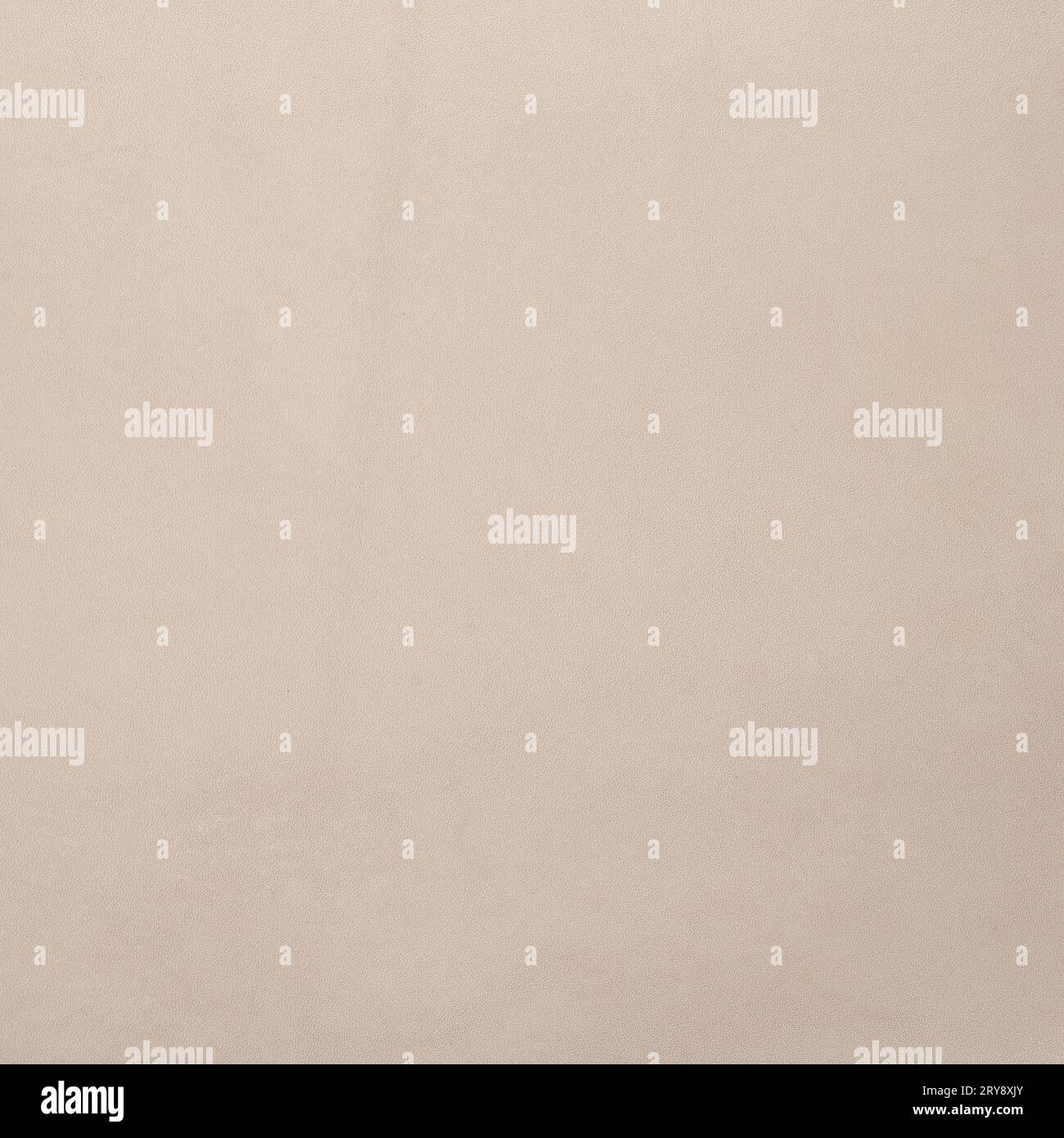 Color chamois hi-res stock photography and images - Alamy