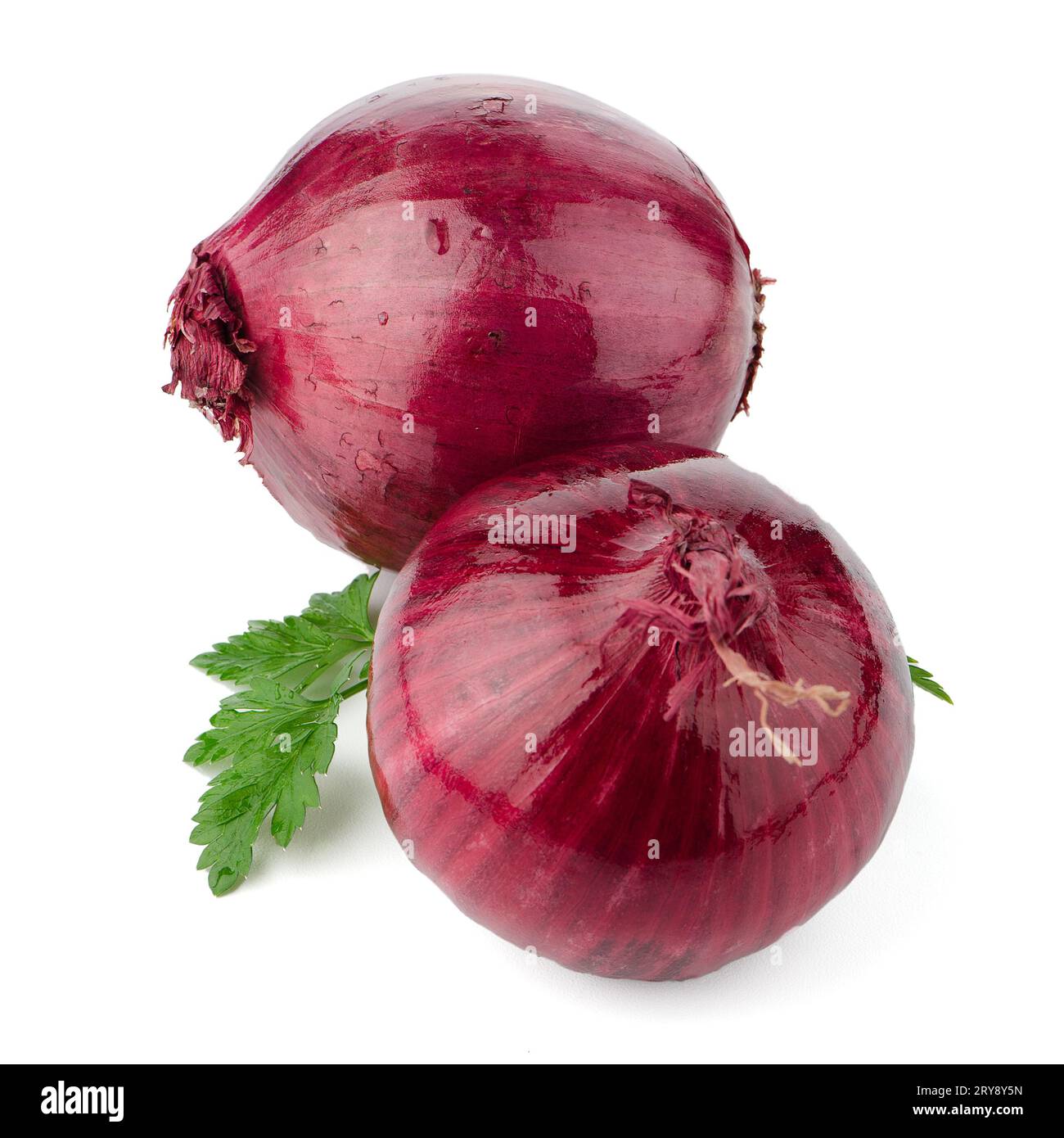 Large group purple new Cut Out Stock Images & Pictures - Alamy