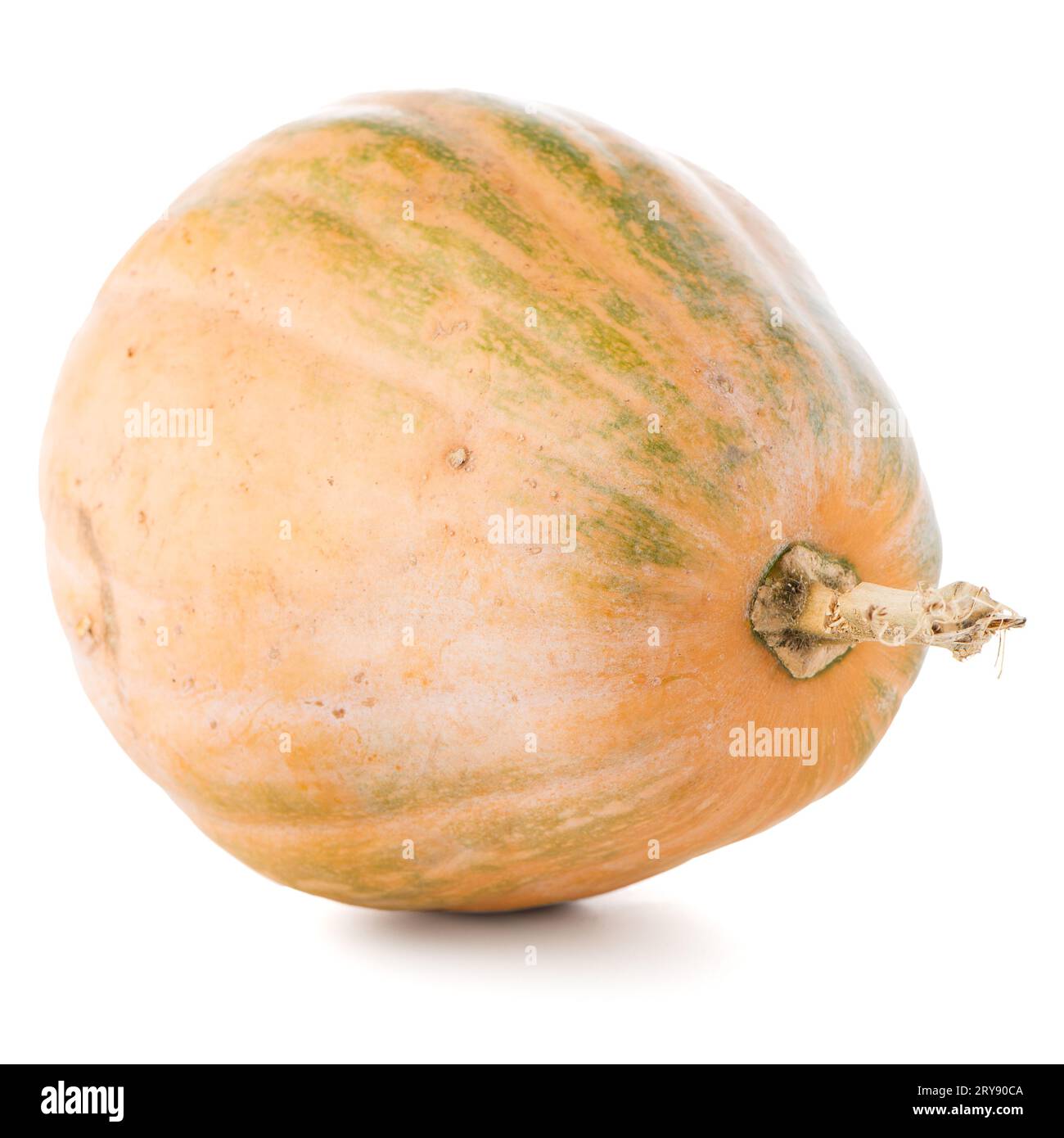 Pumpkin gourd orange vegetable whole hi-res stock photography and ...