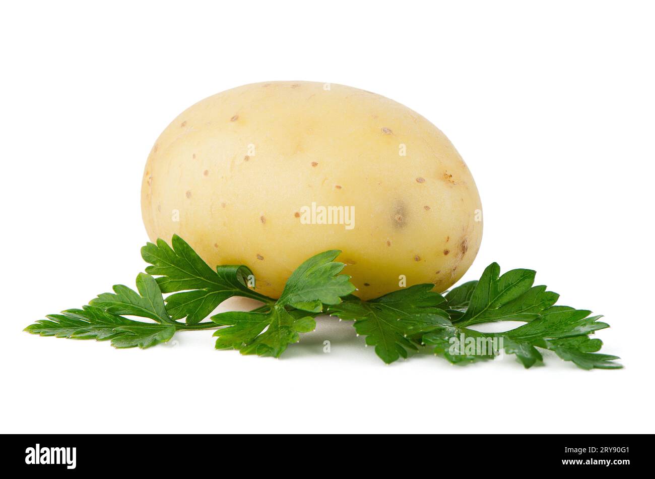New potato and green parsley Stock Photo - Alamy