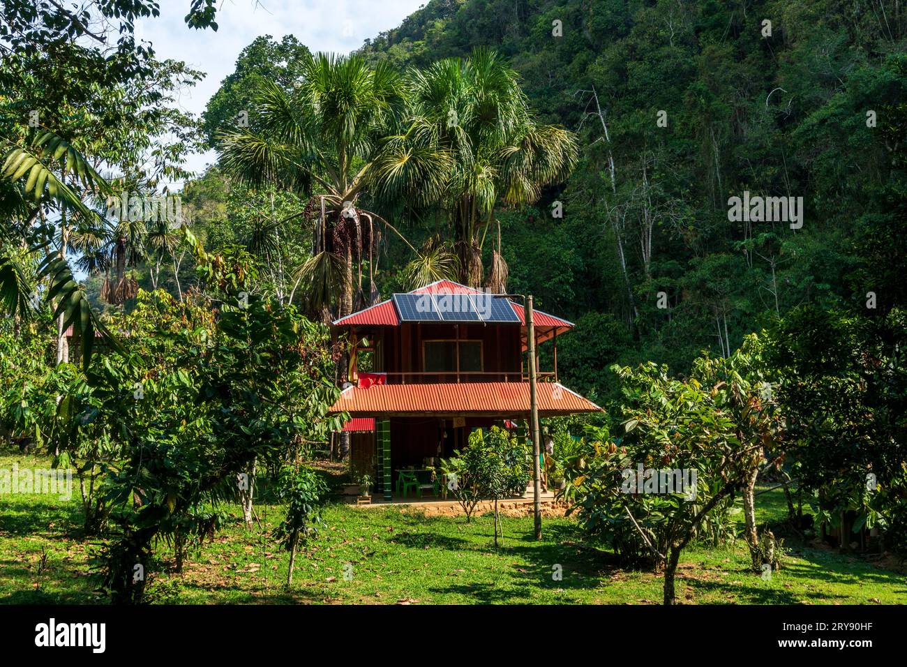 Eco-lodge in the amazon rainforest, peruvian jungle Stock Photo - Alamy