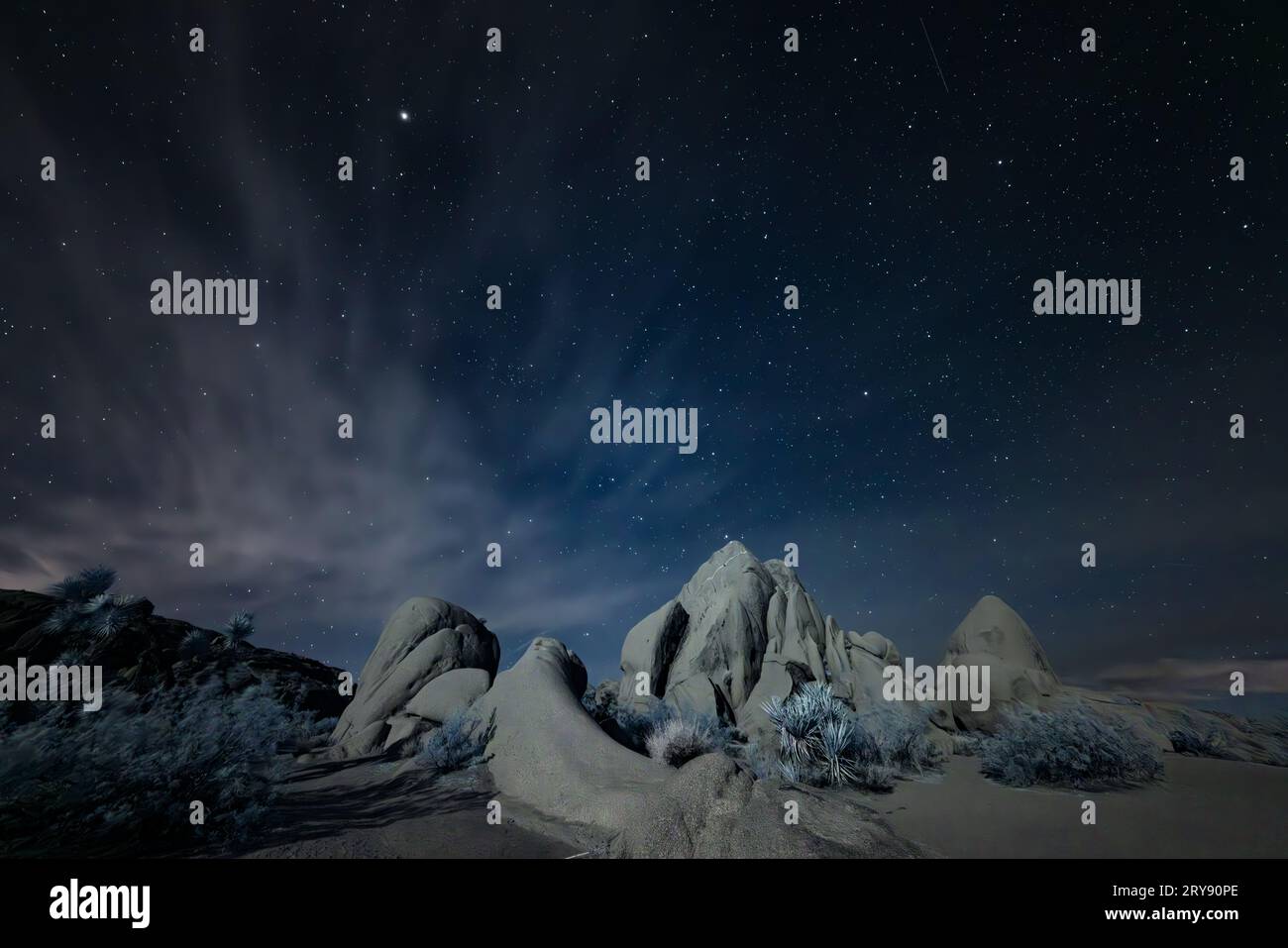 Night landscape Joshua Tree National Park. Photo taken with an infrared ...