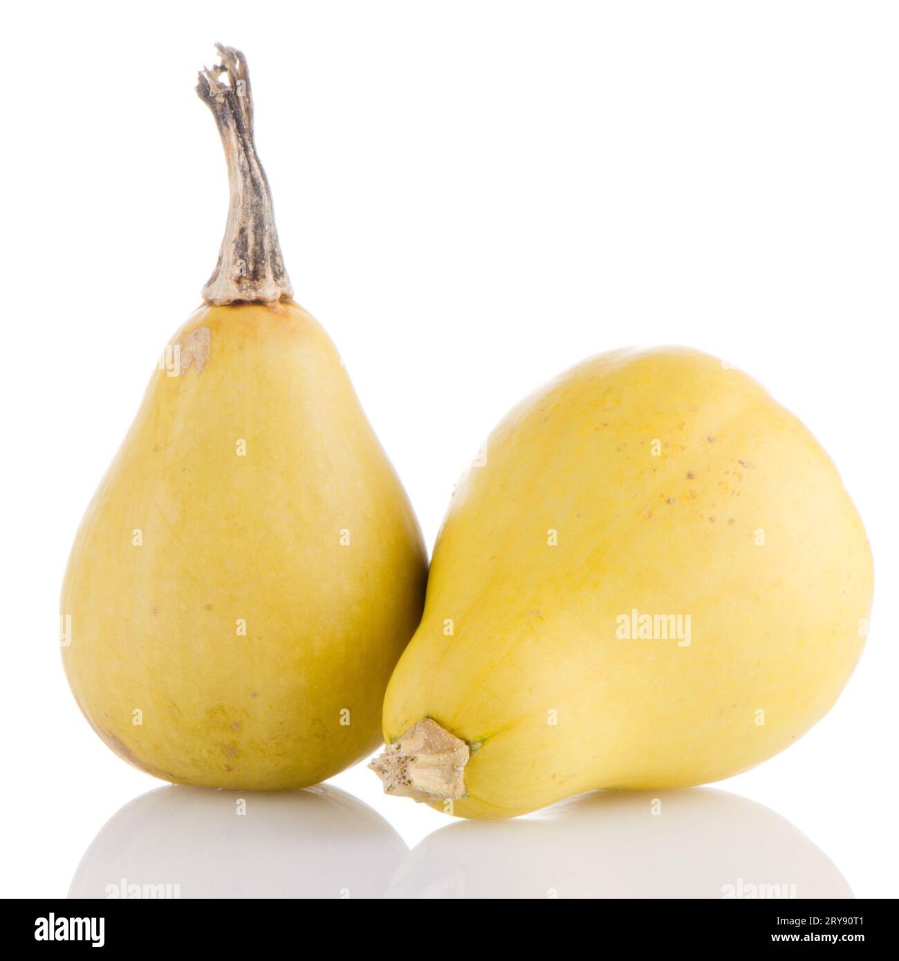 Yellow pumpkins hi-res stock photography and images - Alamy