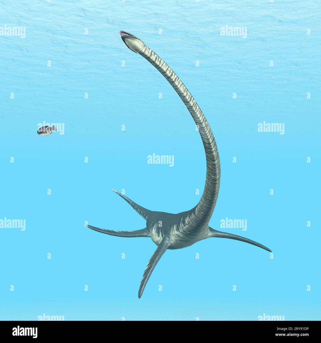 Plesiosaurs hi-res stock photography and images - Alamy