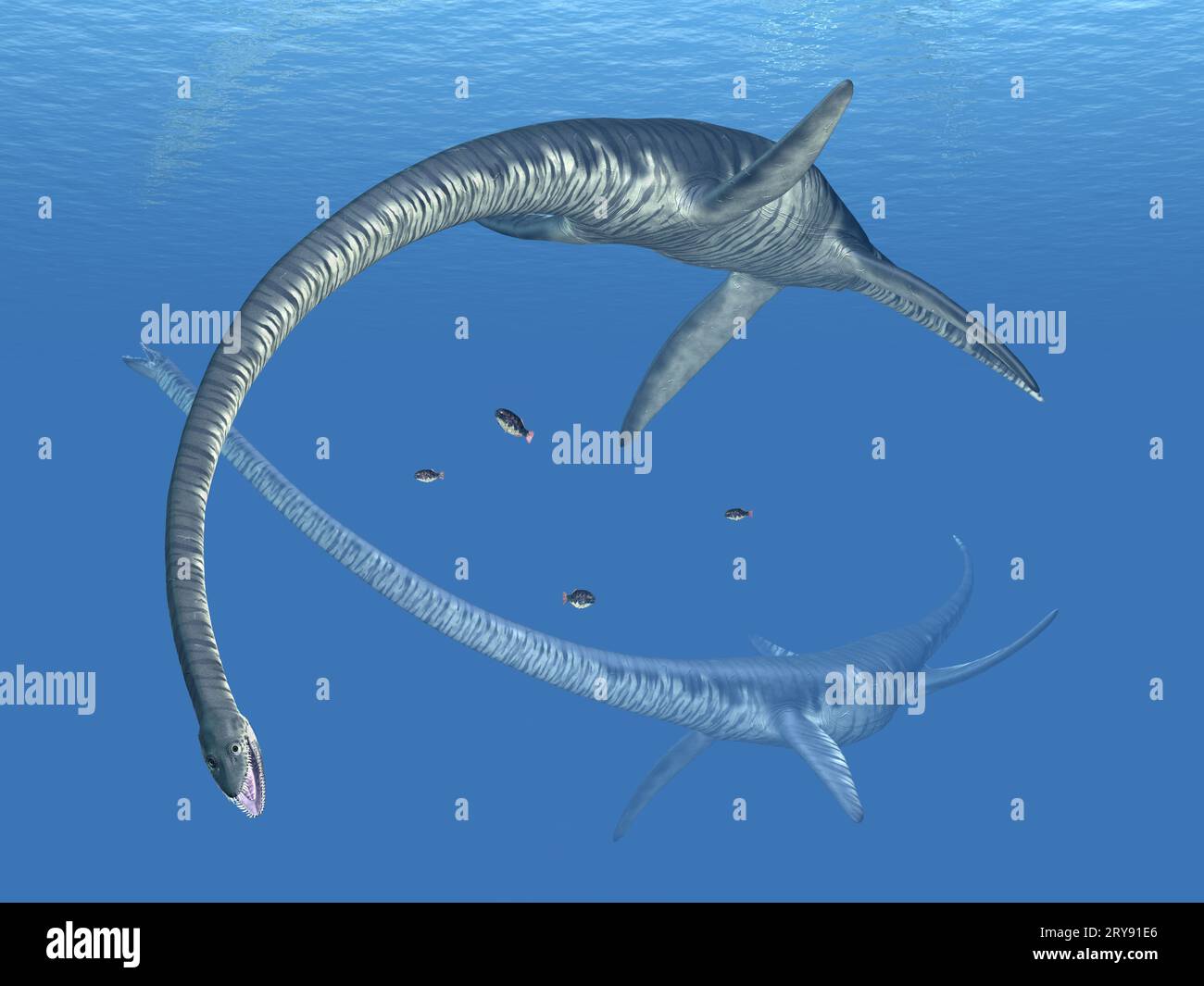 Plesiosaurs hi-res stock photography and images - Alamy