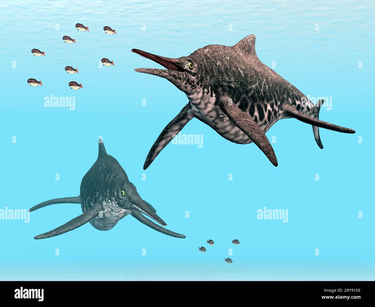Ichthyosaur sea hi-res stock photography and images - Alamy