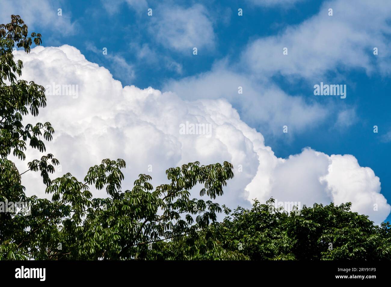 amazonian storm, peruvian jungle Stock Photo - Alamy