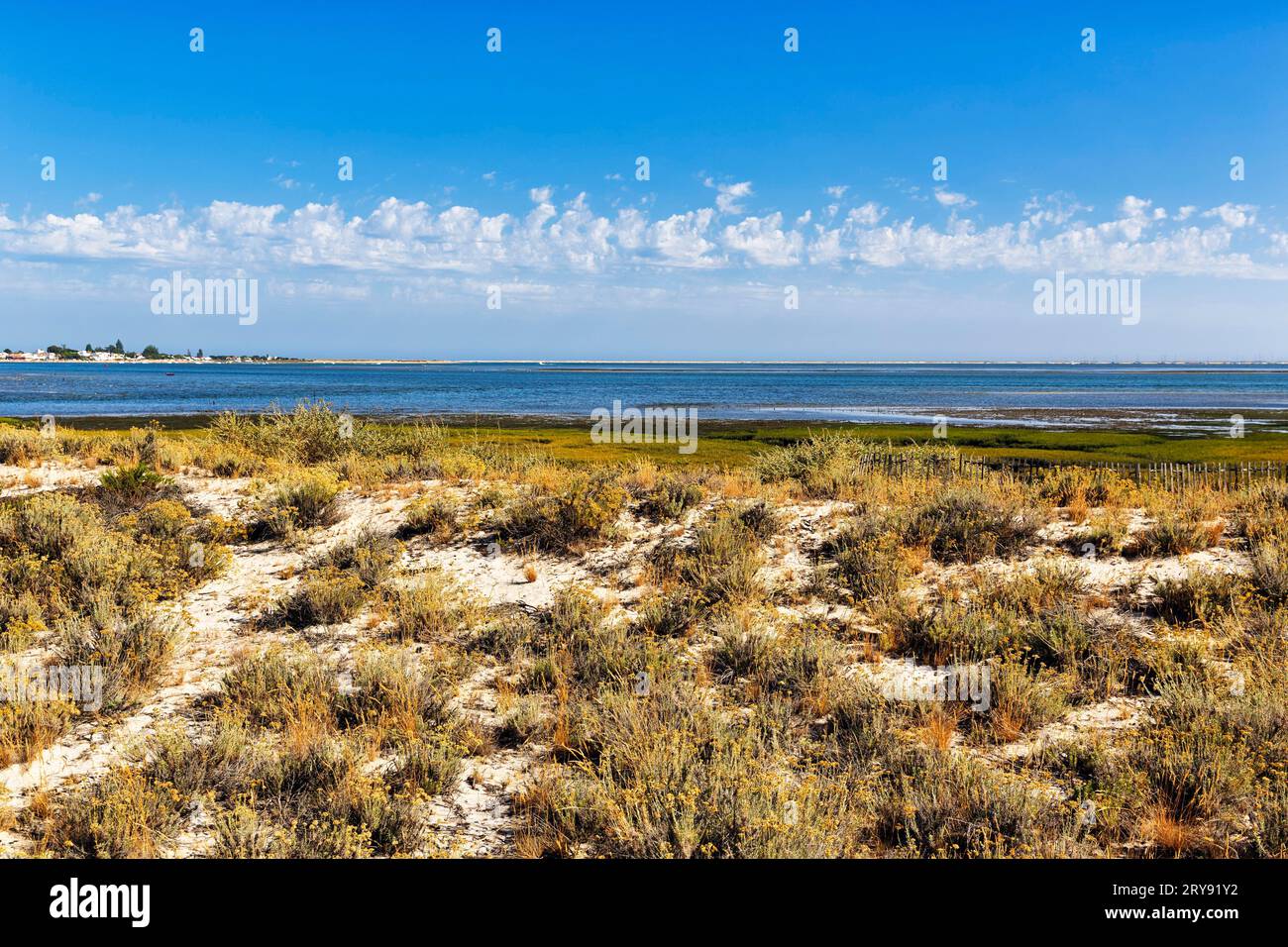 Dune landscape, salt marshes, Quinta de marim, Ria Formosa nature park ...