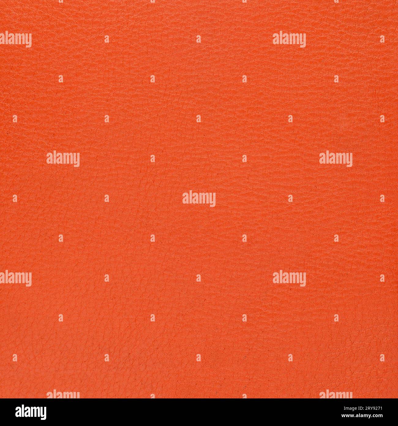 Vivid orange backdrop hi-res stock photography and images - Alamy