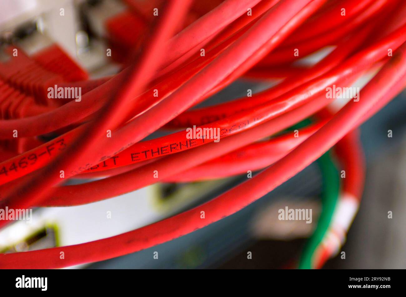 Computer network cable harness, patch cable, Ethernet Stock Photo - Alamy