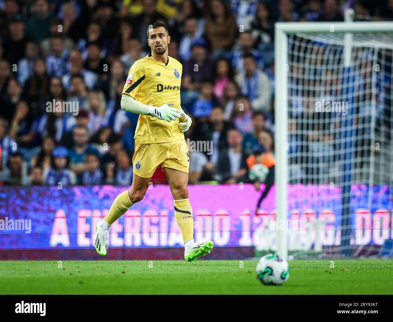 Diogo Costa, FC Porto player in action during the game, FC Porto vs Gil ...