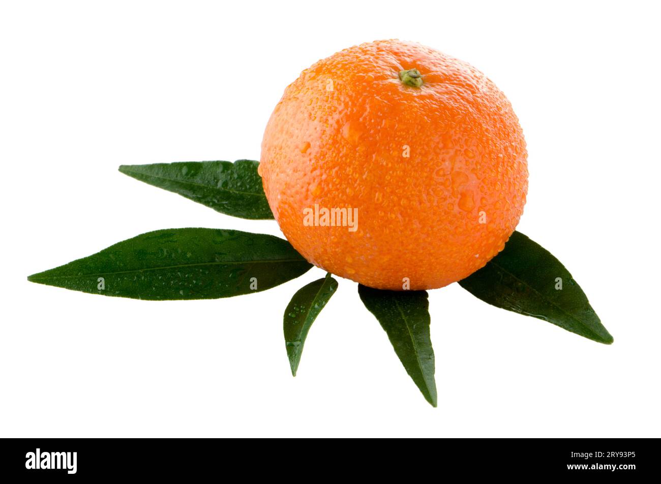 Clean mandarin hi-res stock photography and images - Alamy