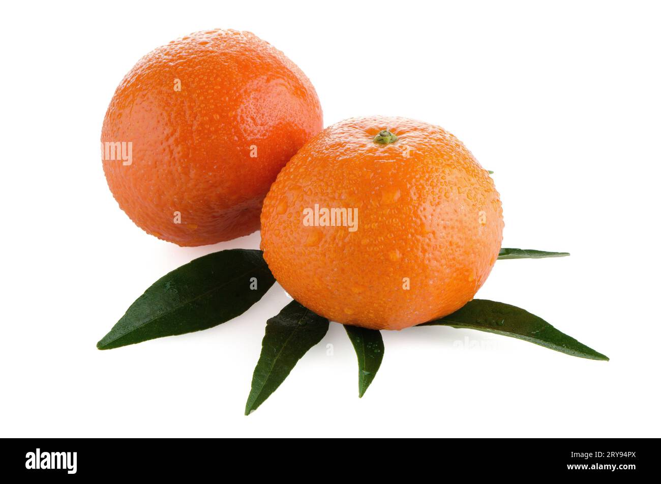 Fresh orange mandarin Stock Photo - Alamy