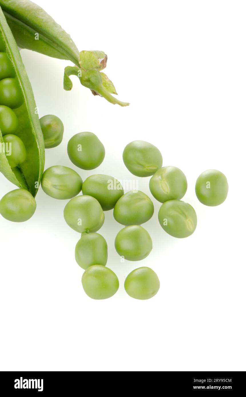 Fresh green pea pod Stock Photo - Alamy