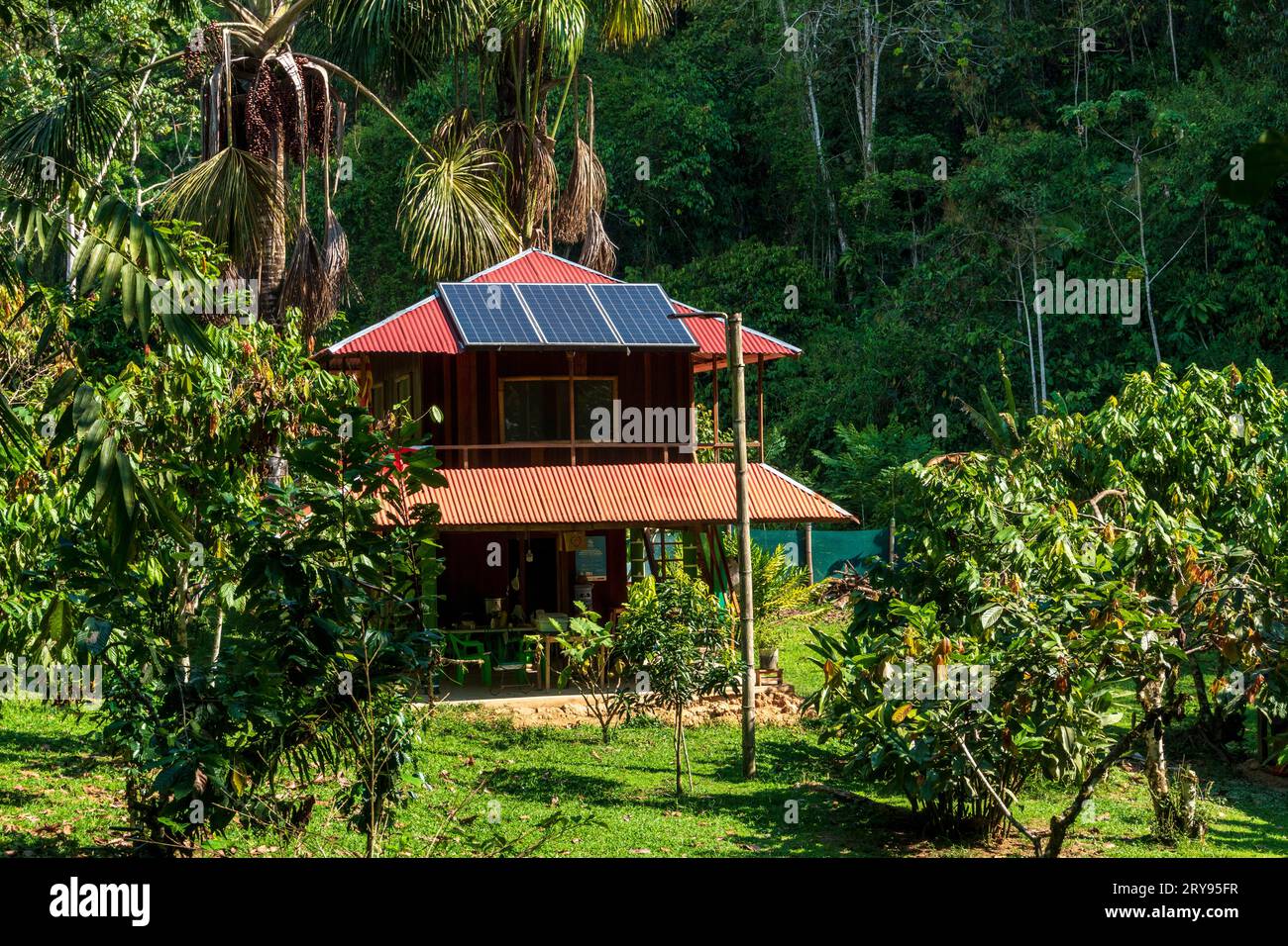 Eco-lodge in the amazon rainforest, peruvian jungle Stock Photo - Alamy