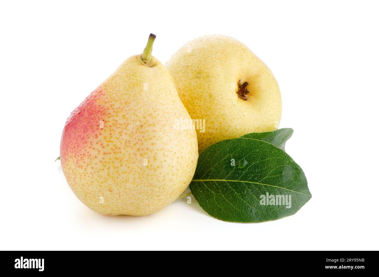 Two raw organic ripe Cut Out Stock Images & Pictures - Alamy