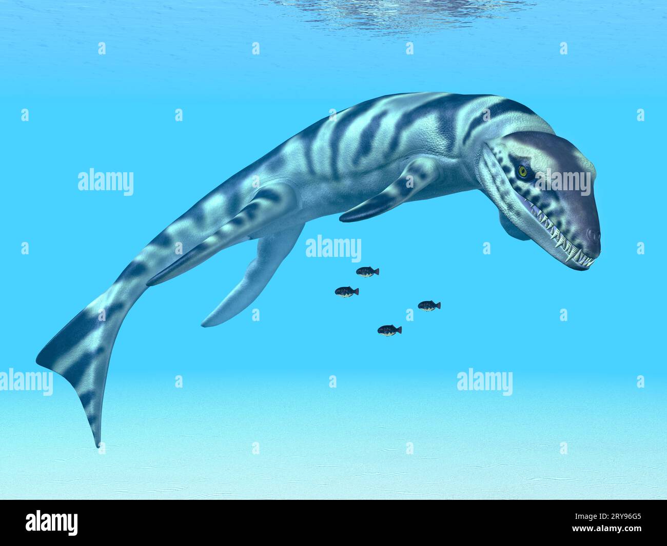 Sea dinosaur underwater prehistoric monster hi-res stock photography ...