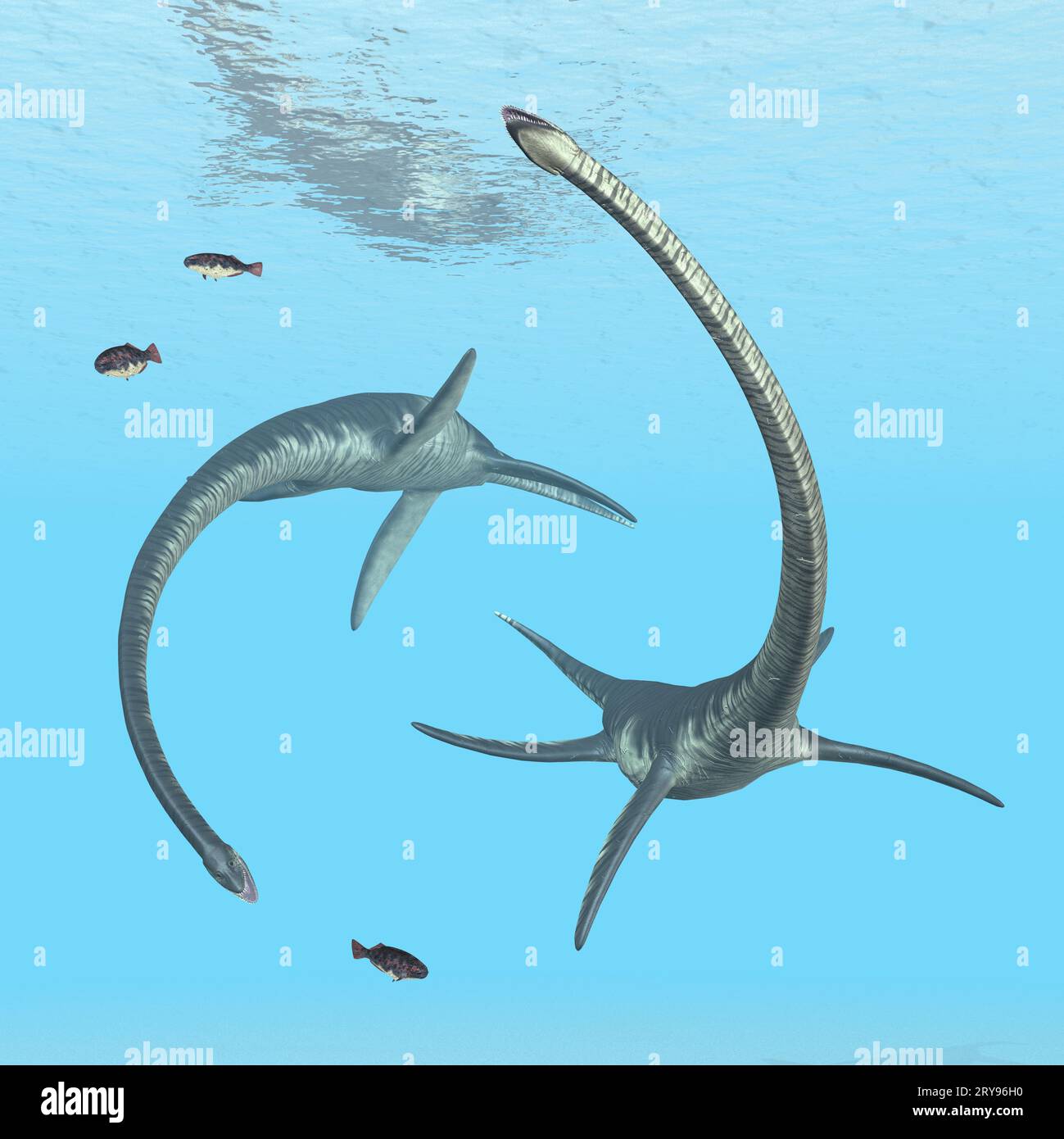 Extinct plesiosaurs hi-res stock photography and images - Alamy