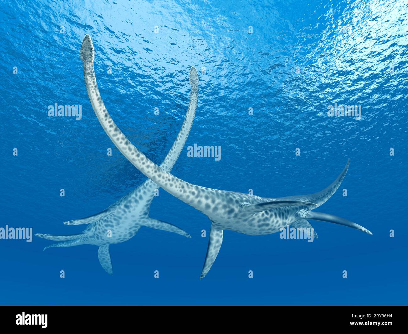 Extinct plesiosaurs hi-res stock photography and images - Alamy