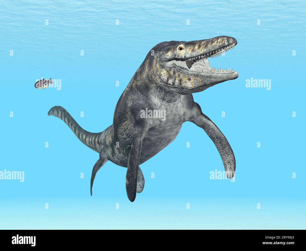 Mosasaur hi-res stock photography and images - Alamy
