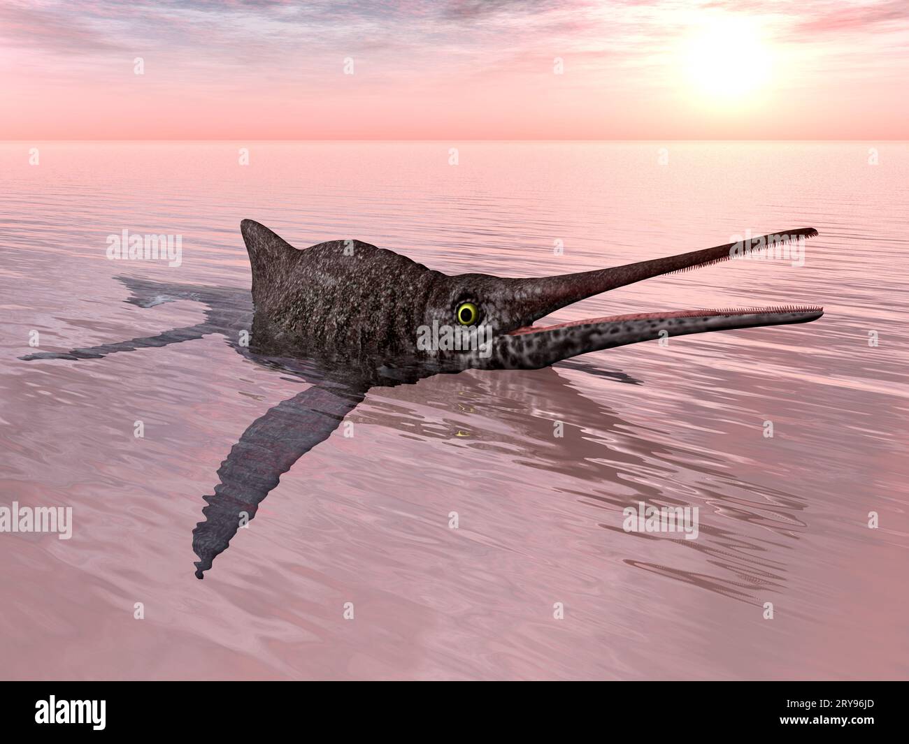 Ichthyosaurier hi-res stock photography and images - Alamy