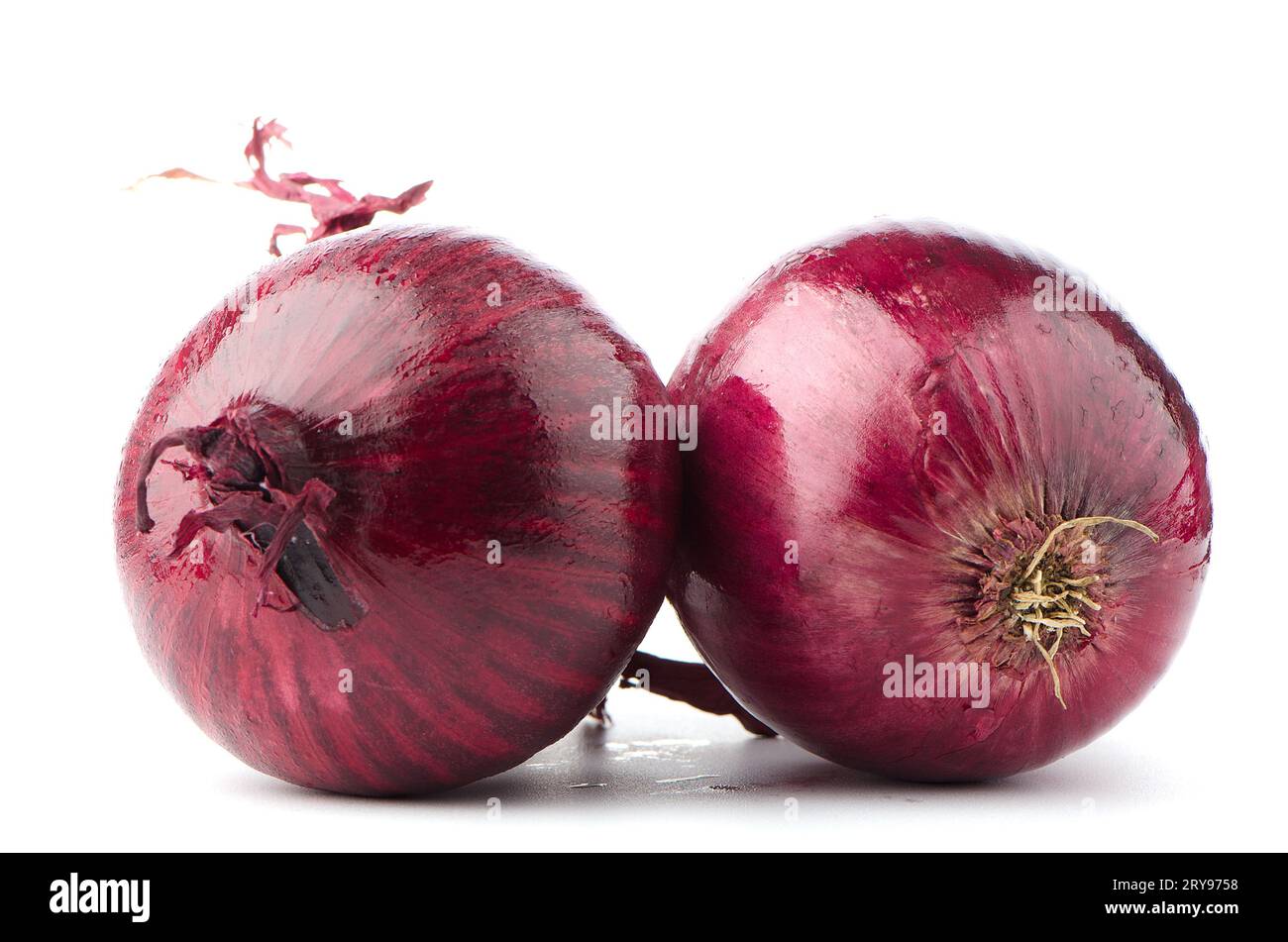 Large white onions Cut Out Stock Images & Pictures - Alamy