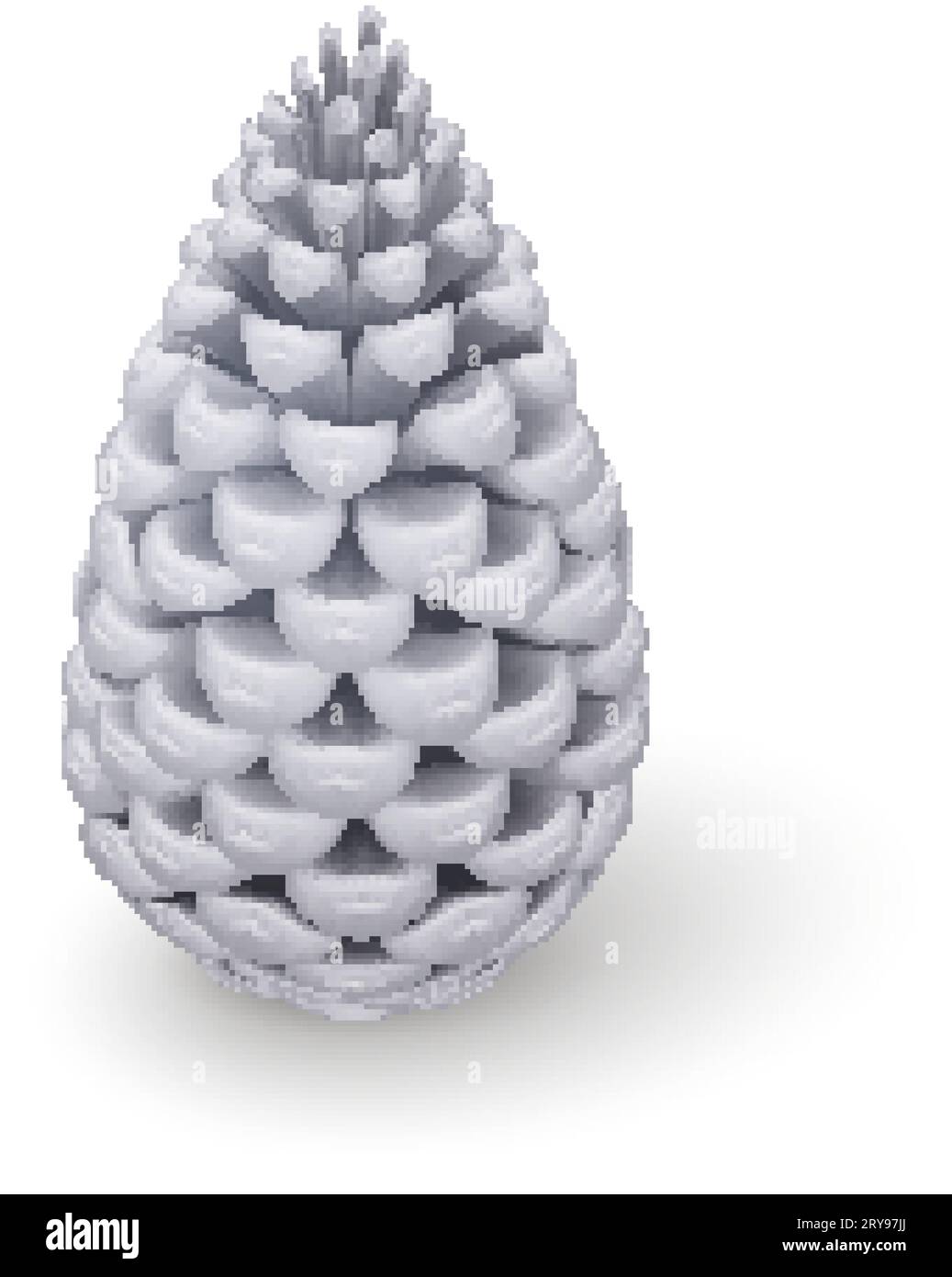 Cedar fruit Stock Vector Images - Alamy