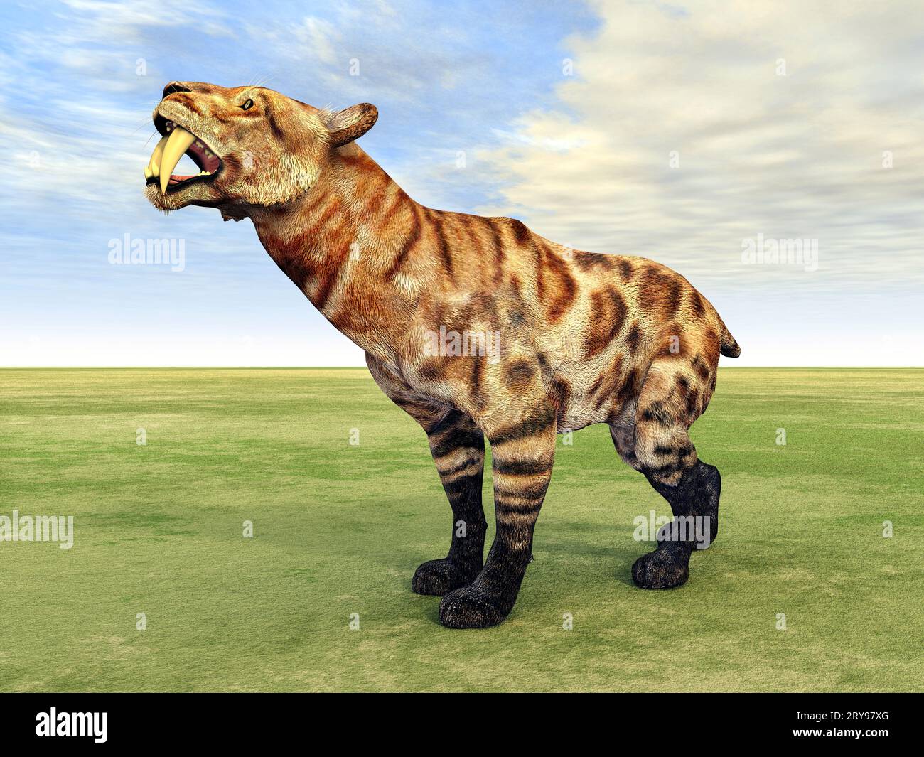 Saber-Toothed Cat Smilodon Stock Photo - Alamy