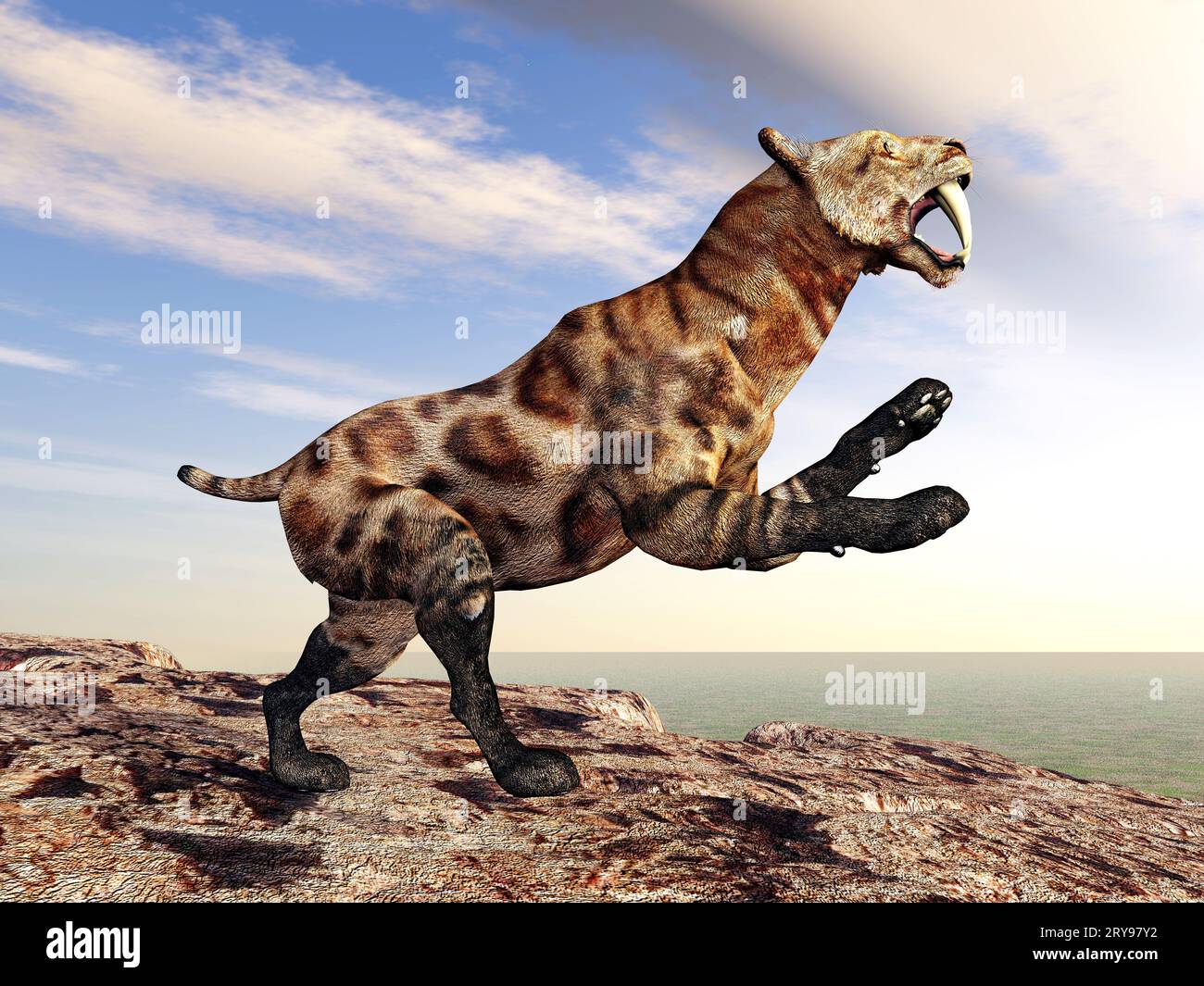 Saber-Toothed Cat Smilodon Stock Photo - Alamy