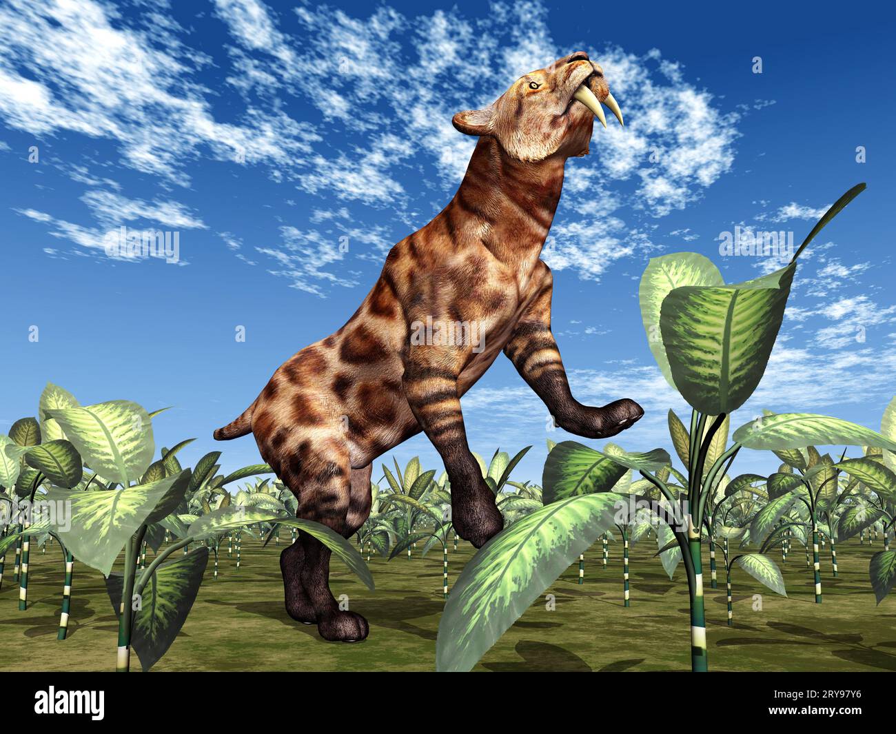 Saber-Toothed Cat Smilodon Stock Photo - Alamy