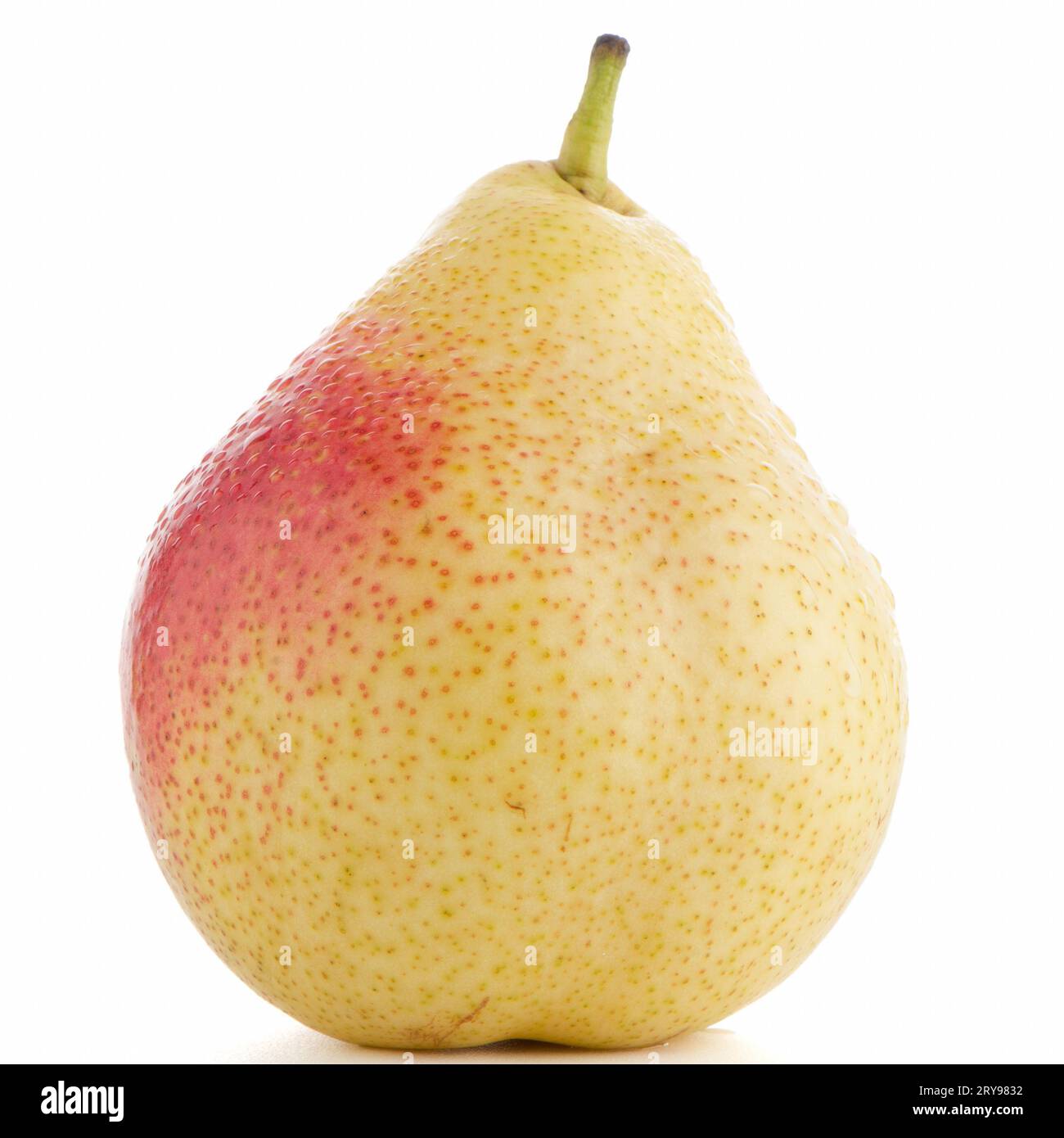 Image of single pear hi-res stock photography and images - Alamy