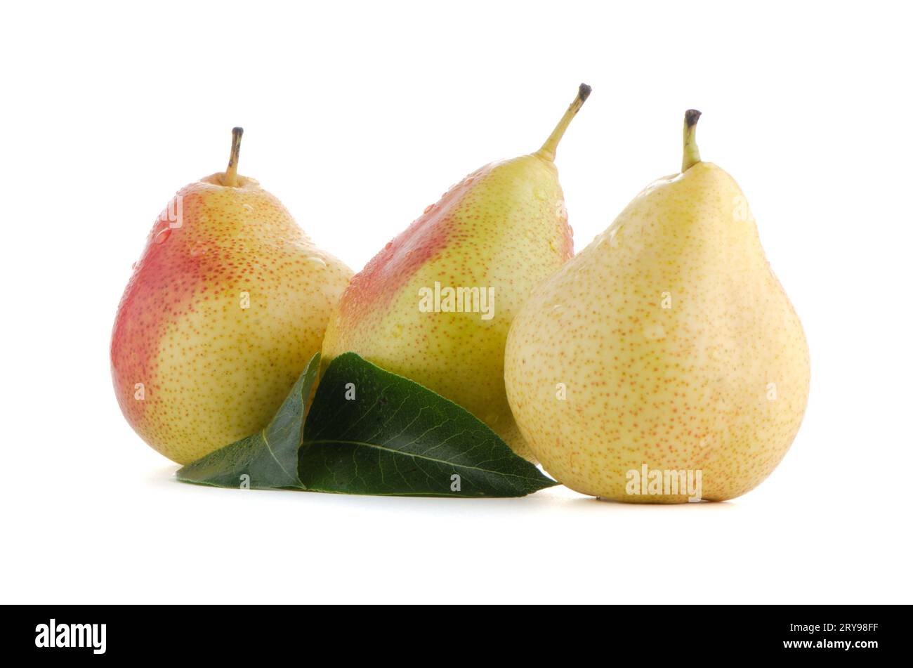 Shot three ripe juicy Cut Out Stock Images & Pictures - Alamy