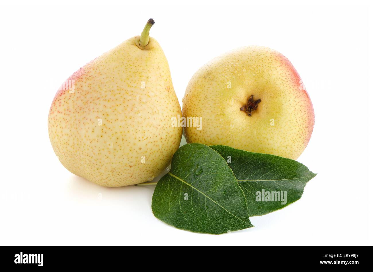 Two lit green white hi-res stock photography and images - Alamy