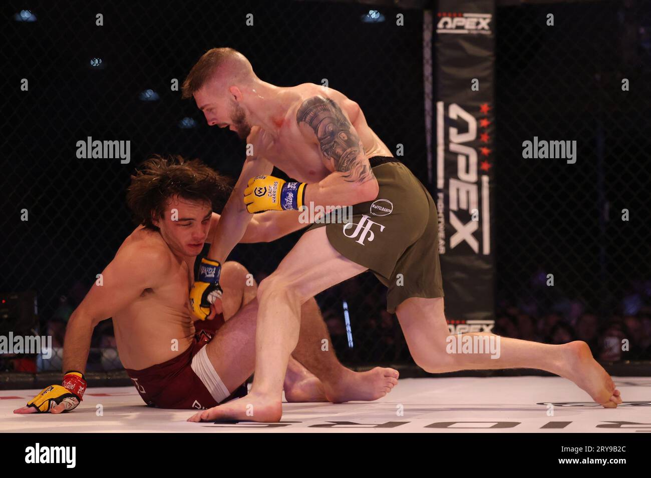 Beats alexander hi-res stock photography and images - Alamy