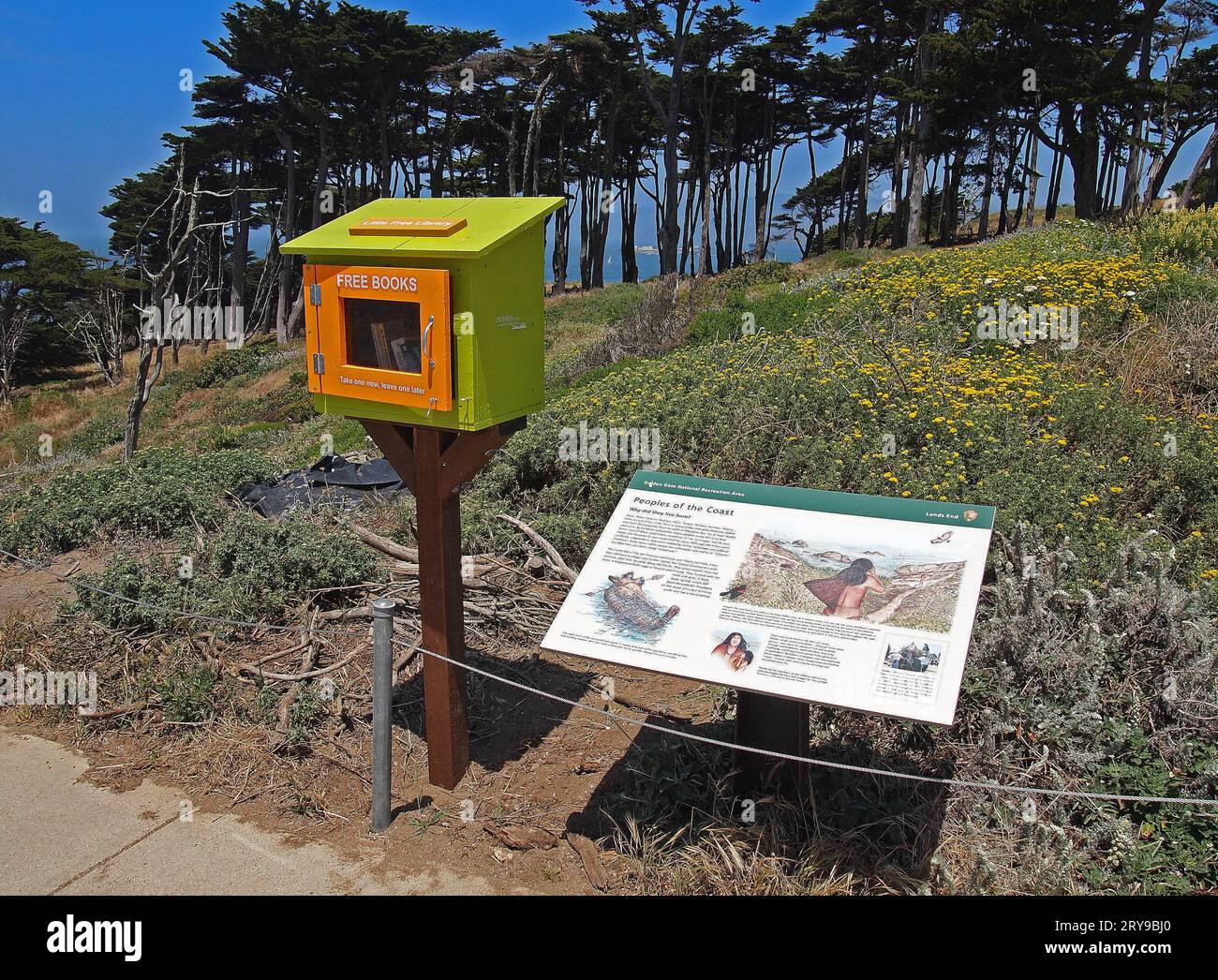 Little Free Library, free book box from the friends of the San ...