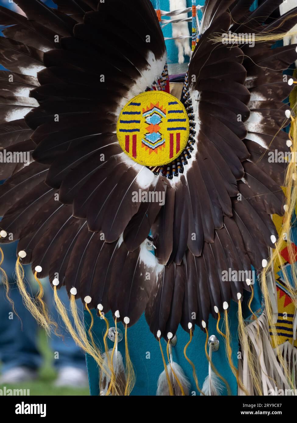 Little shell chippewa hi-res stock photography and images - Alamy