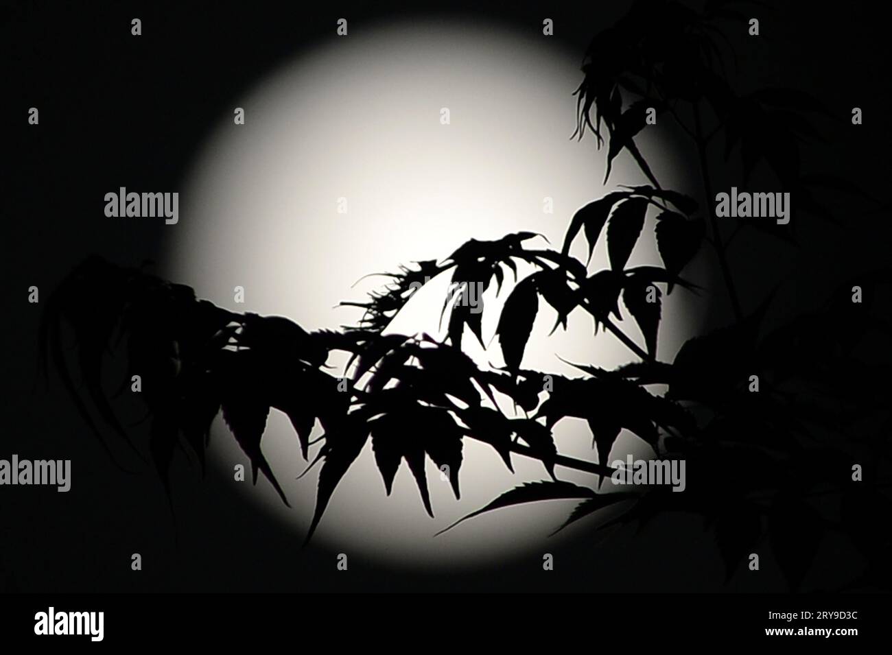 Islamabad, Pakistan. 29th Sep, 2023. A full moon is pictured over ...