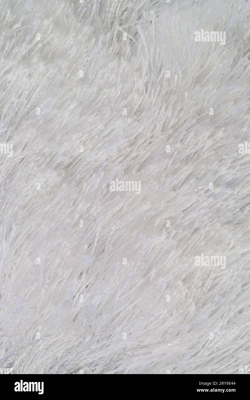 White fluffy fur carpet hi-res stock photography and images - Alamy
