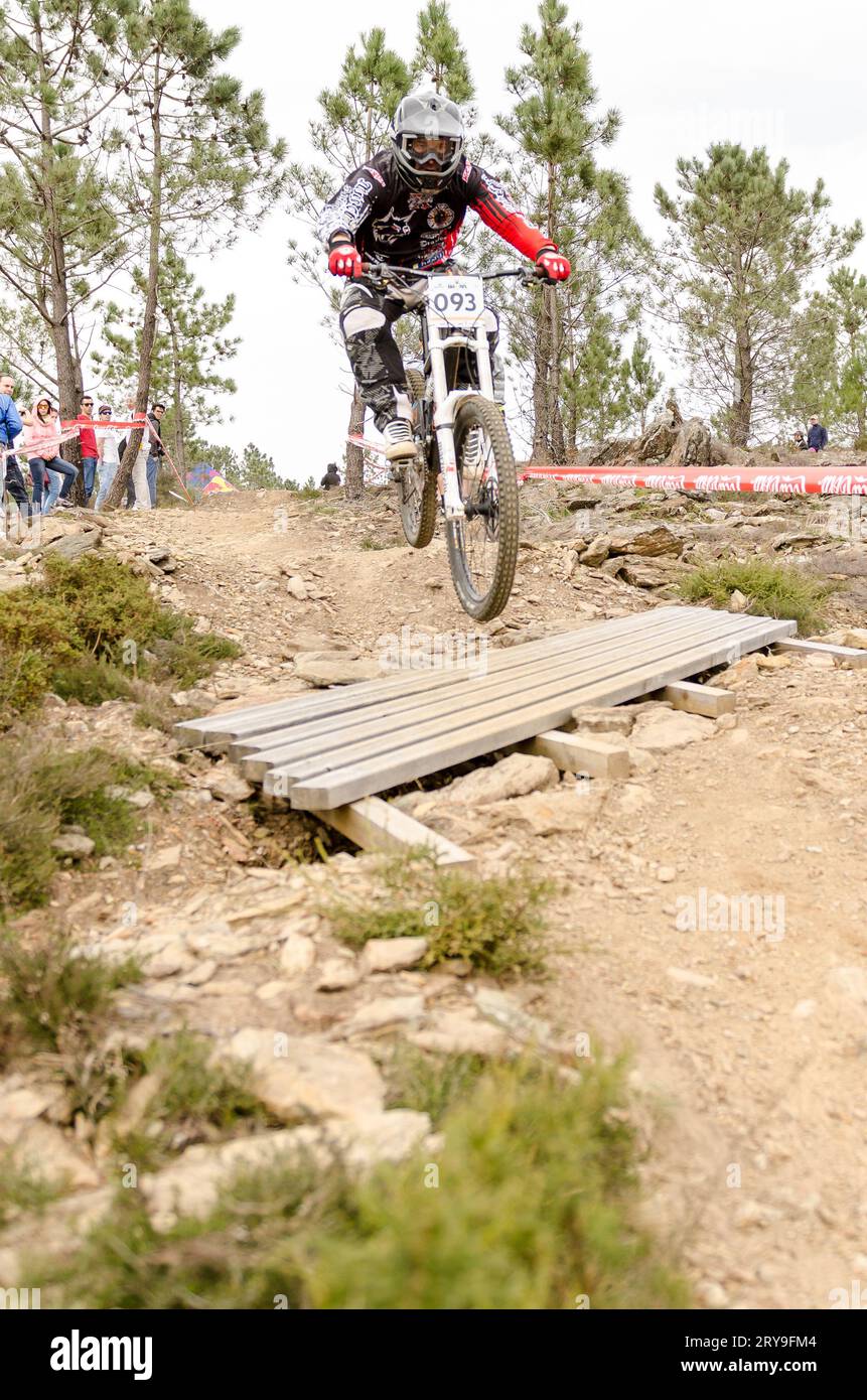 Salgueiro hi-res stock photography and images - Alamy