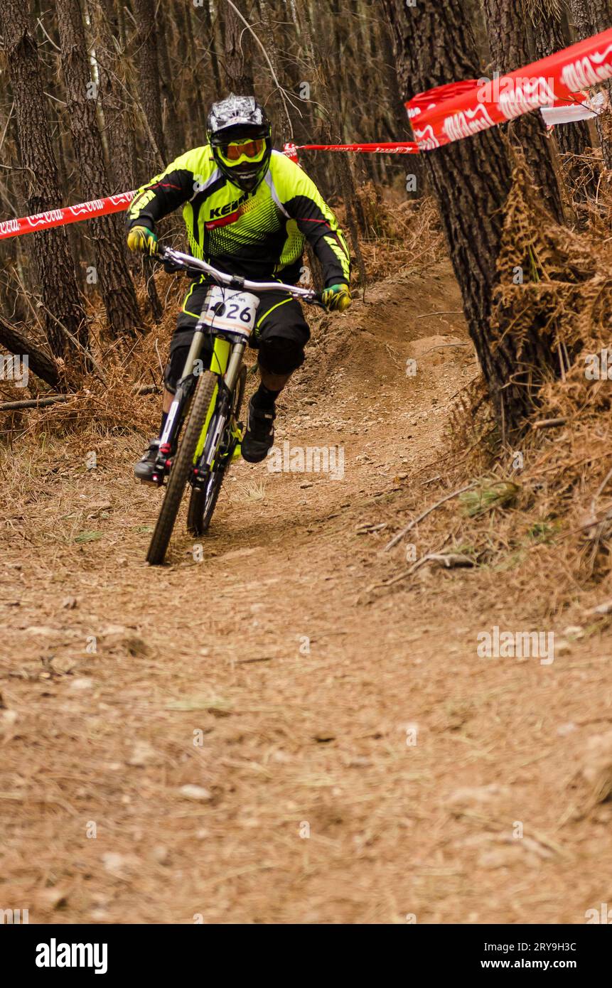 Pombo hi-res stock photography and images - Alamy