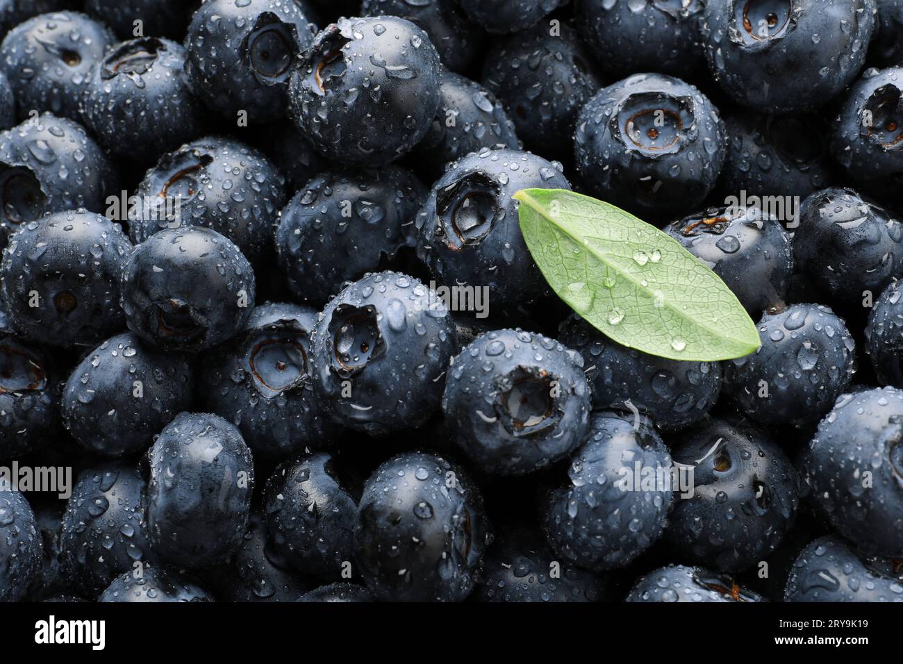 Wet fresh blueberries with green leaf as background, top view Stock ...
