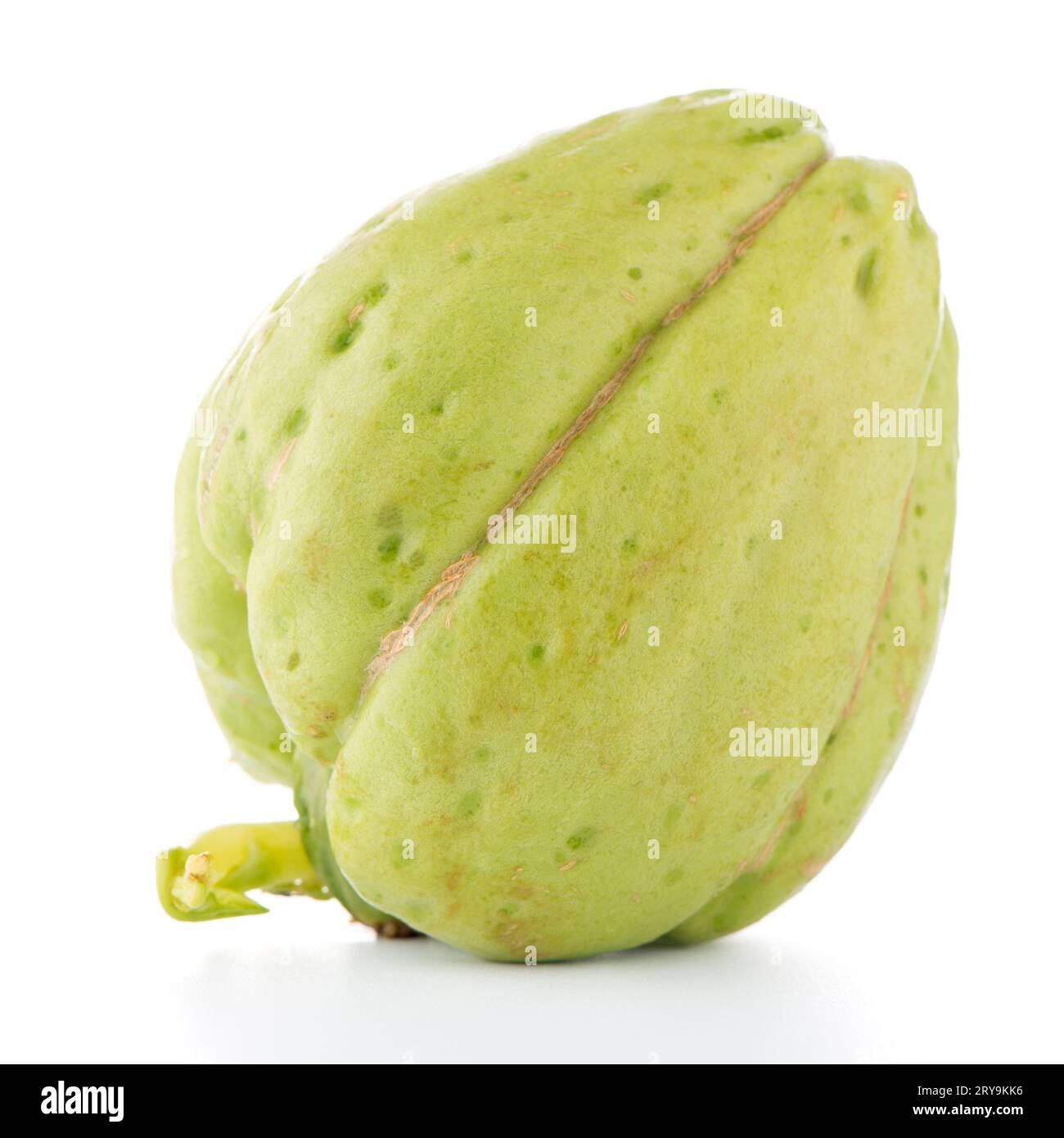 Chayote chow healthy vegetable hi-res stock photography and images - Alamy