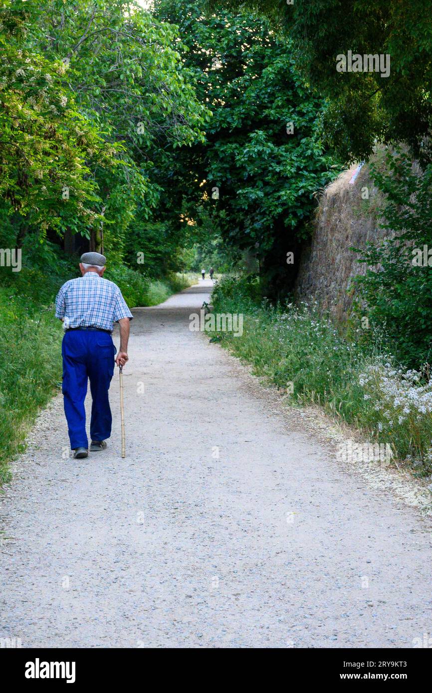 older person man walking with cane to perform daily walking exercise on ...