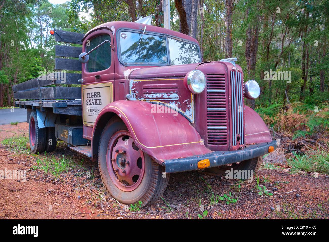 Tiger snake whiskey hi-res stock photography and images - Alamy