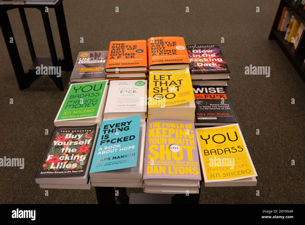 Self-help books with provocative titles on display at a Barnes and ...