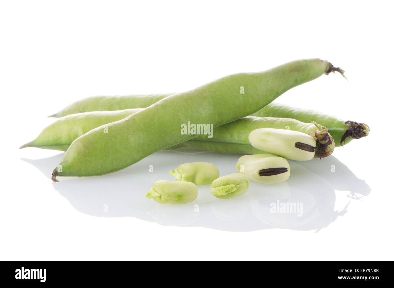 Beans preparation hi-res stock photography and images - Alamy